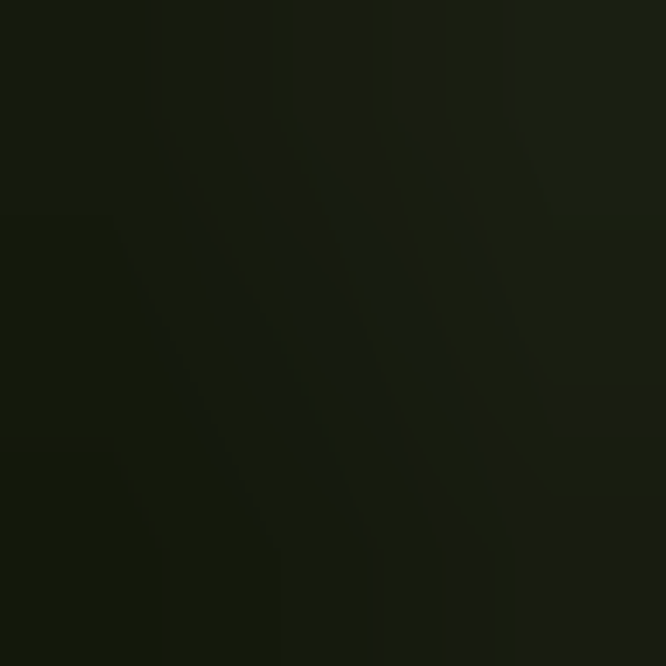 Hamza Javed - Pittsburgh Cricket League