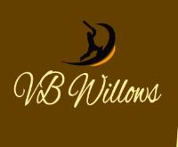 PASHM GLOBAL T20 Tournament - 2025: Virginia Beach Willows - Hampton ...